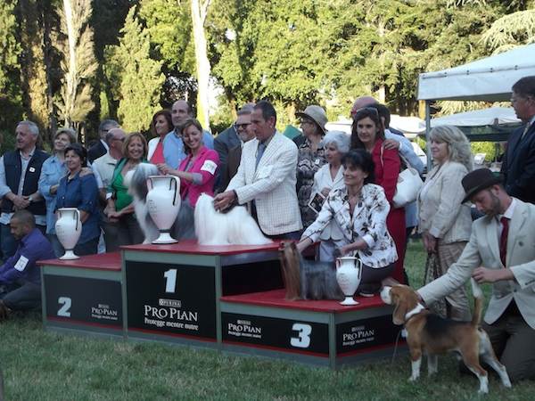 La 31° esposizione internazionale canina fa centro. Tutti i premiati a ...