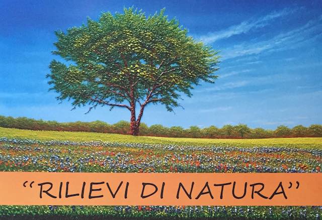 Gene Pompa espone a Palazzo dei Sette. In mostra "Rilievi di Natura ...